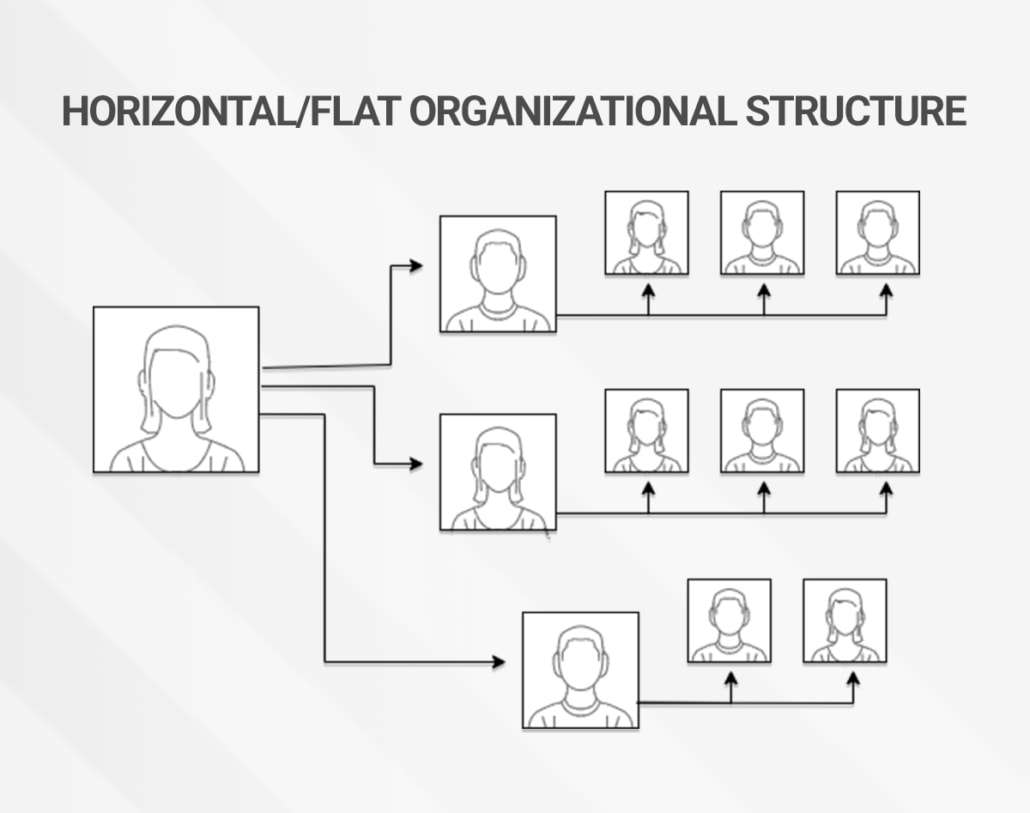 Organizational Structures: Types and Complete Overview