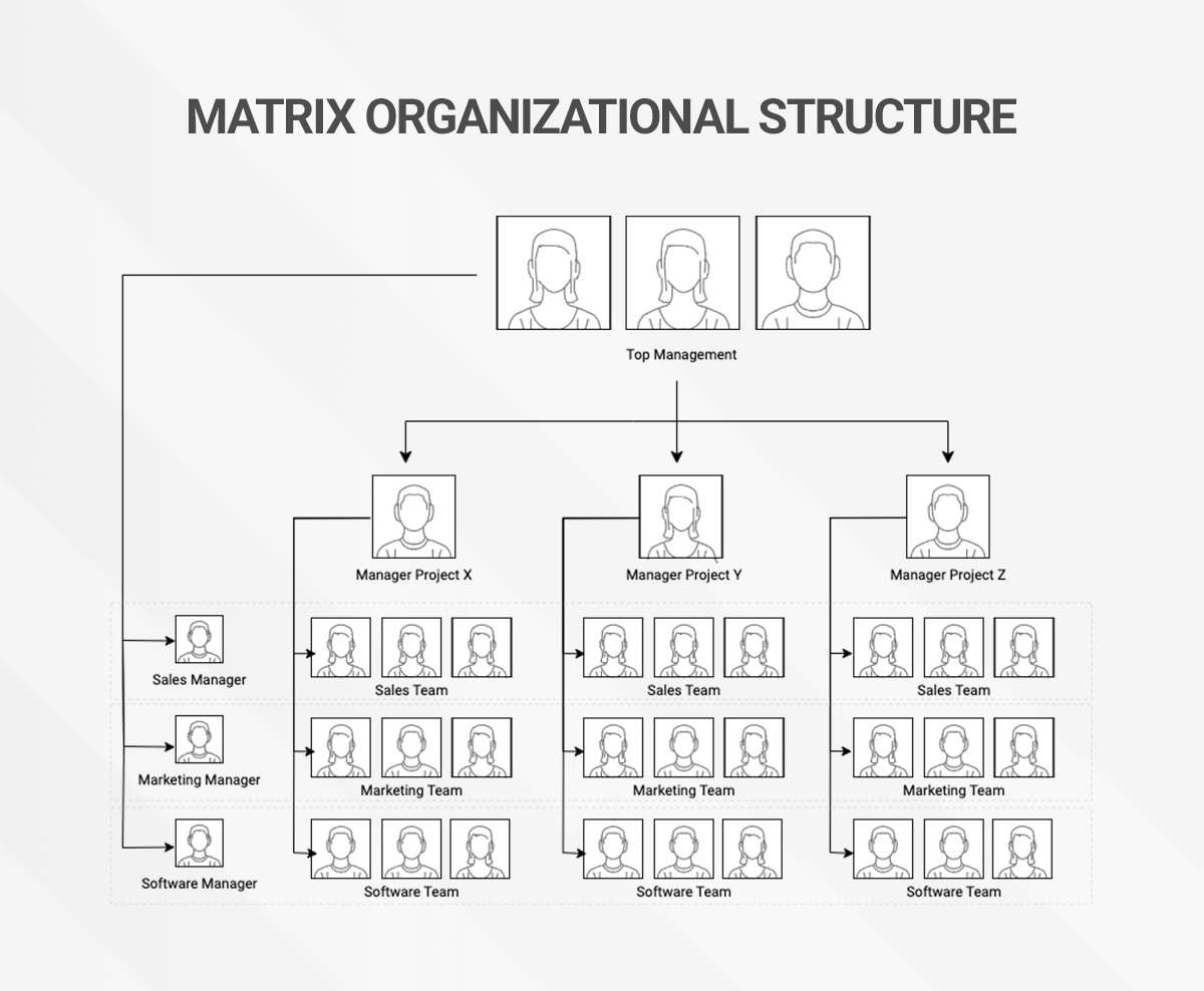 Organizational Structures: Types and Complete Overview