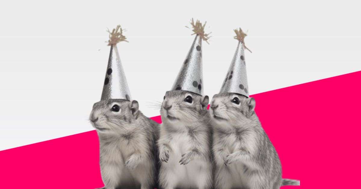 Fun Group Games For Adults (No Booze or Nasty Stuff incl.)