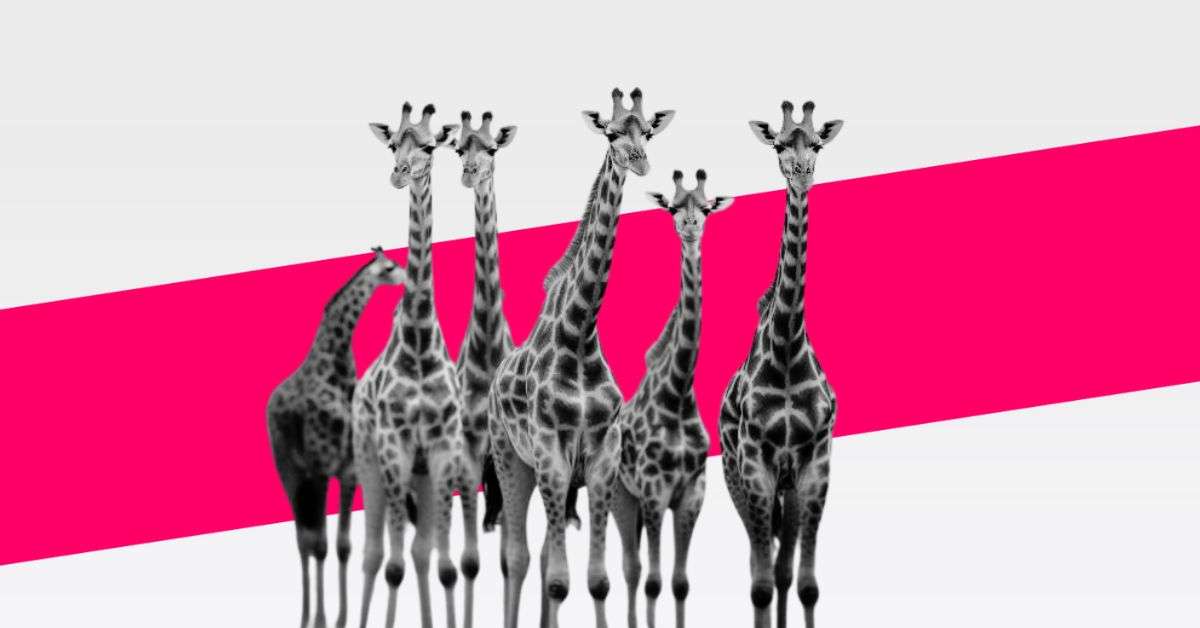 10 Big Group Games (That Truly Involve Everybody!)