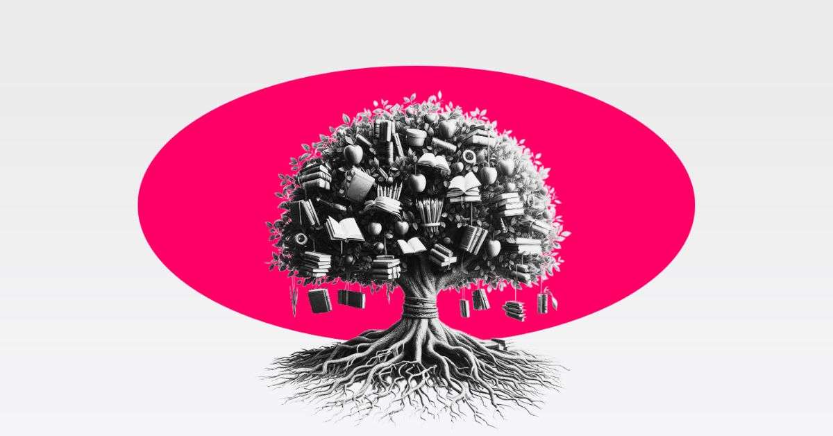 Training & Development in HRM: What, Why & How! (+ 7 Steps)